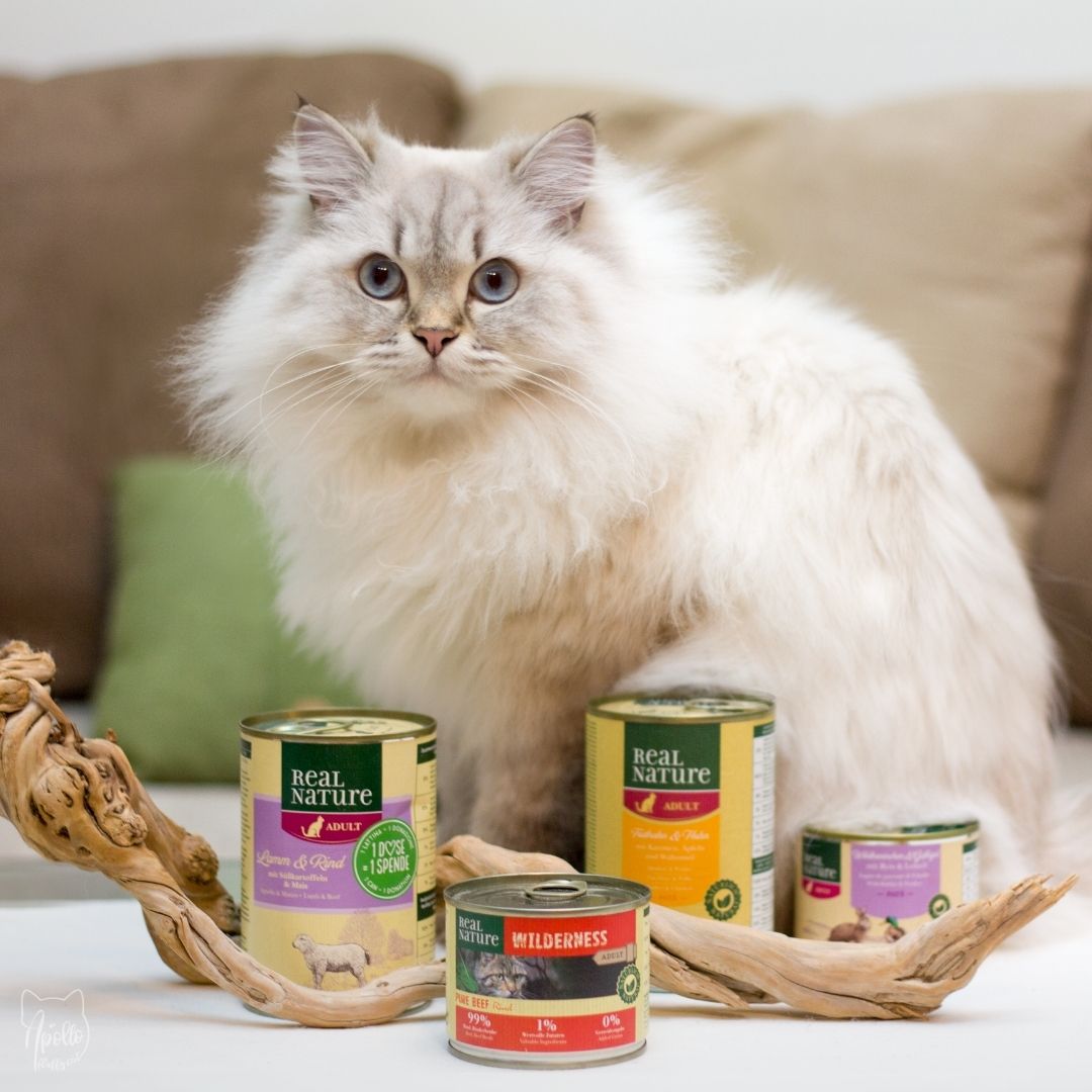 Review: Real Nature wet cat food (MAXI Zoo) » Apollo Fluffy Cat | Blog ...