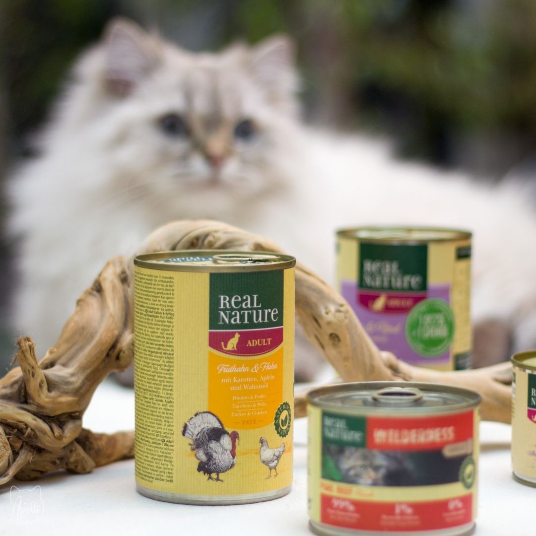 Review: Real Nature wet cat food (MAXI Zoo) » Apollo Fluffy Cat | Blog ...
